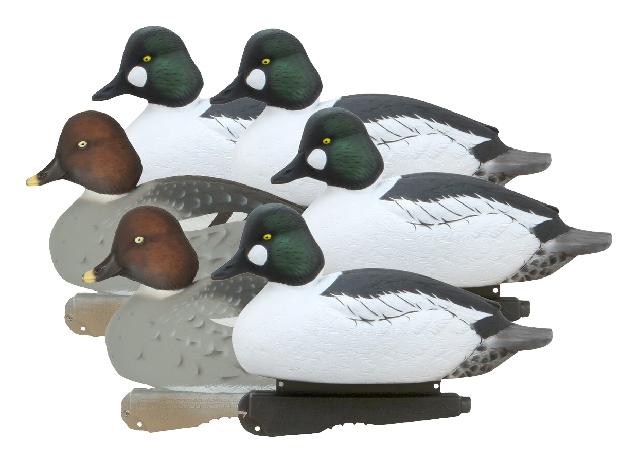 GHG Hunter Series Over Size Foam Filled Goldeneye Decoys 6 Pack | Mack ...